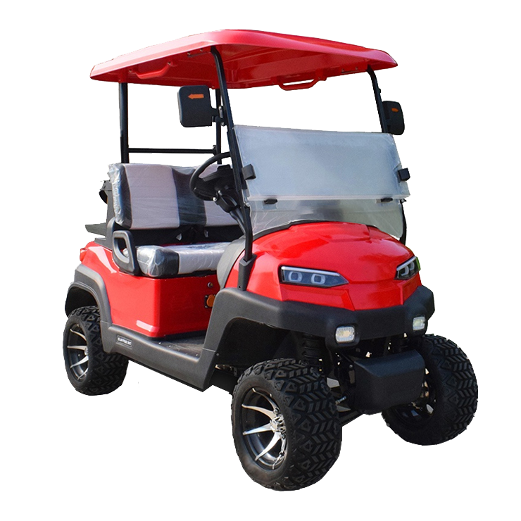 Raysince, The Electric Car and Electric Golf Cart Specialist